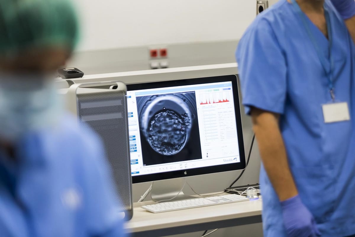 IVF embryo grading: do you know how embryo selection works?