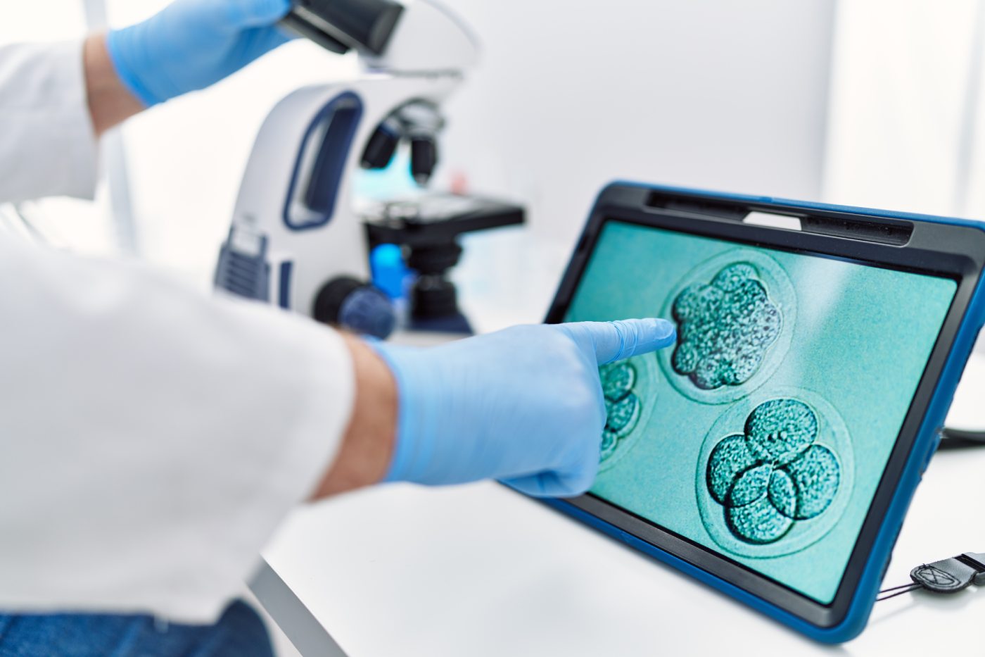 Natural Cycle Embryo Transfer: when do we recommend it?