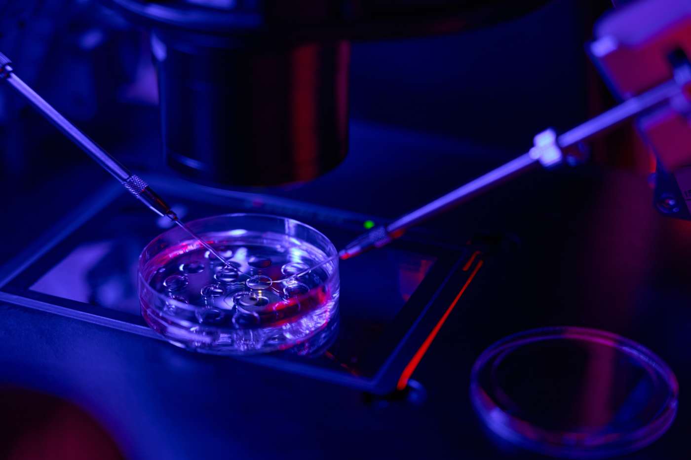 In vitro maturation of oocytes: reproductive medicine of the future